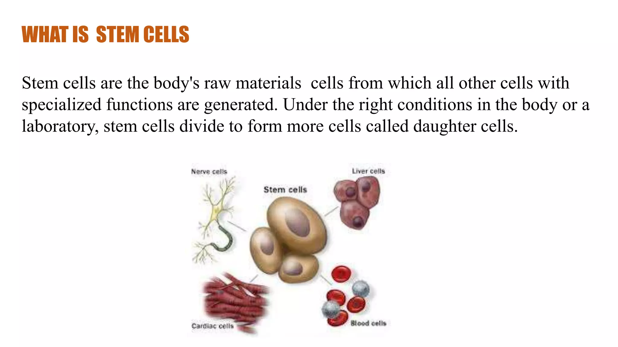 Sources of stem cells | PPTX