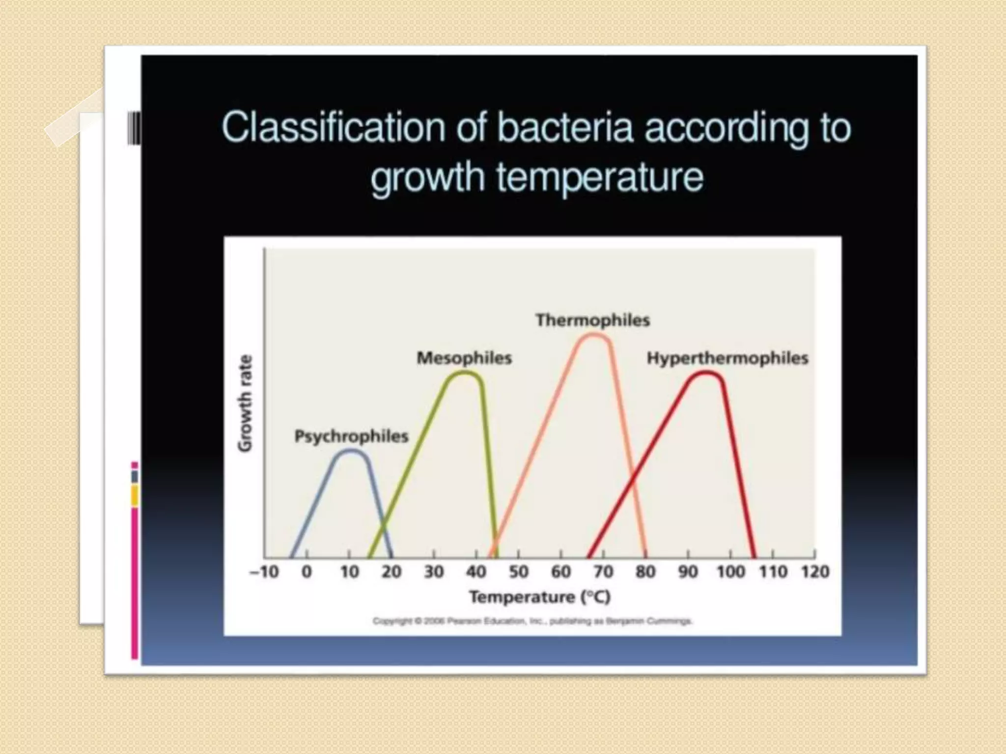 Sources of the growth of micro organims | PPTX