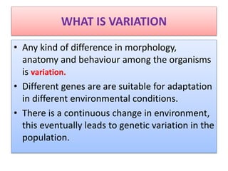 Sources of variation in organic evolution | PPT