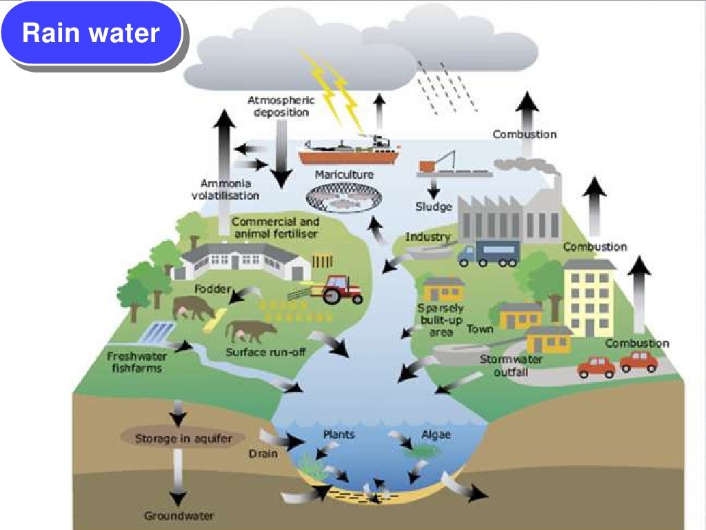 Sources of water Sources of water