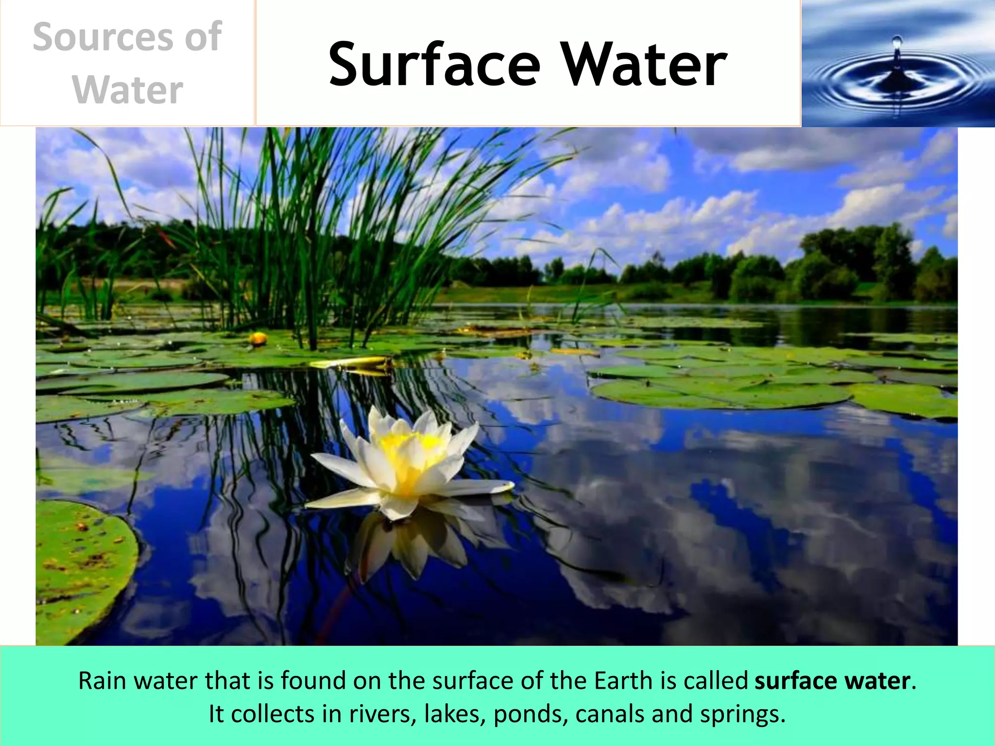 Sources of Water | PPTX