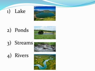 Source Of Water