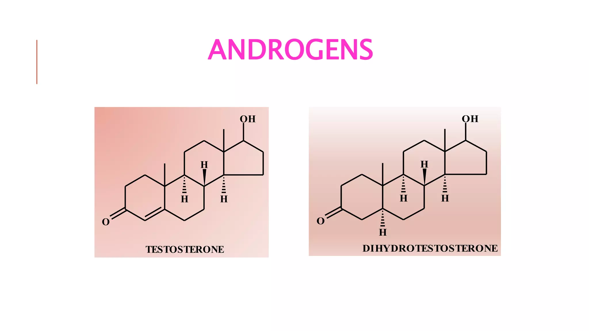 Source, synthesis and metabolism of androgens | PPSX