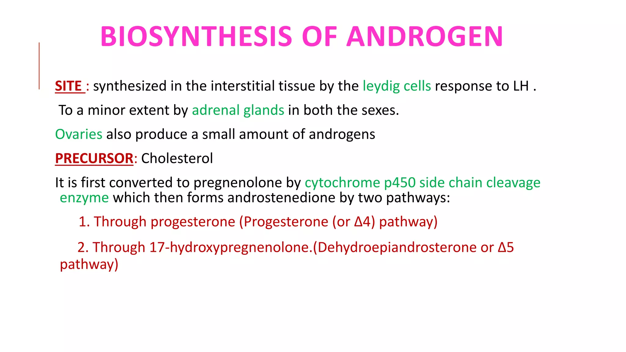 Source, synthesis and metabolism of androgens | PPSX