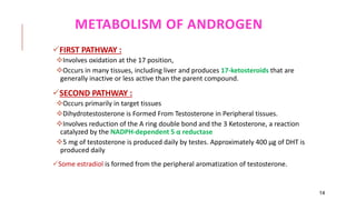 Source, synthesis and metabolism of androgens | PPSX