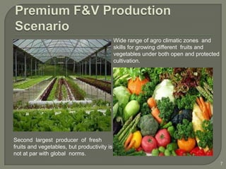 Sourcing,Supply And Distribution Of Fresh Fruits And Vegetables For ...