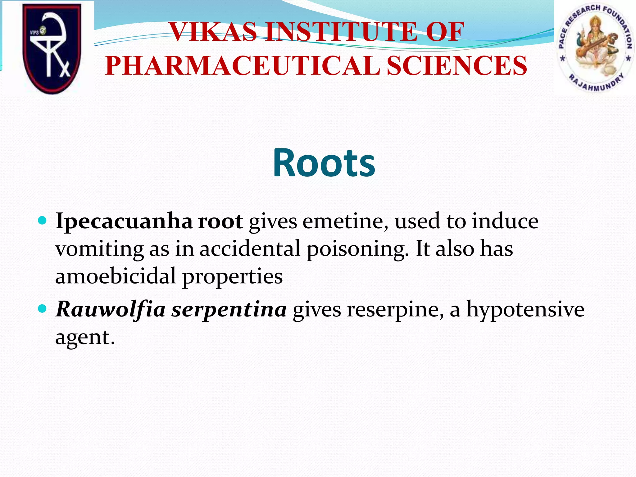 SOURSE OF CRUDE DRUGS. | PPTX