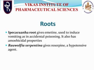 SOURSE OF CRUDE DRUGS. | PPTX