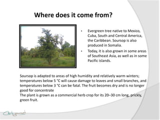 What is Soursop? | PPT