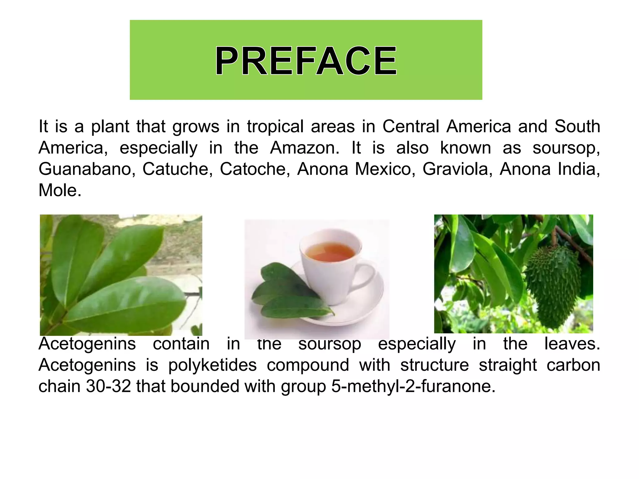 Soursop leaves ppt | PPT
