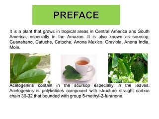 Soursop leaves ppt | PPT