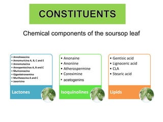 Soursop leaves ppt | PPT