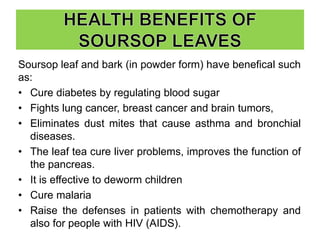 Soursop leaves ppt | PPTX