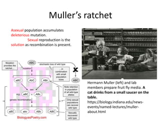 Why are most organelle genomes transmitted maternally? | PPT