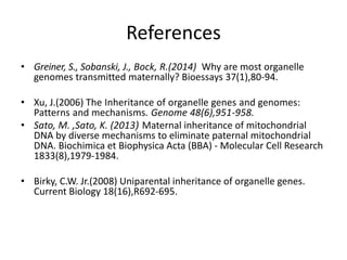 Why are most organelle genomes transmitted maternally? | PPT