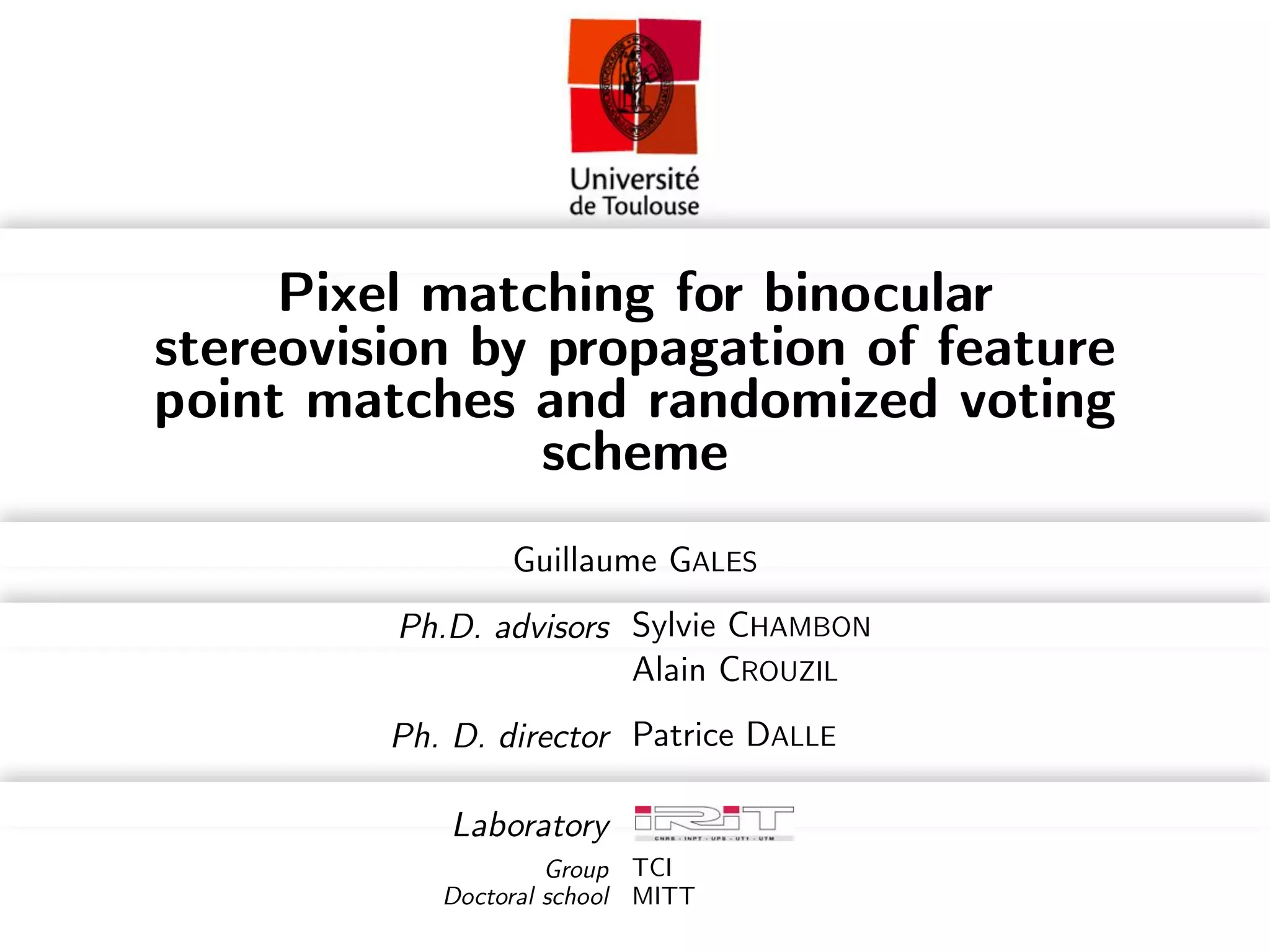 Pixel matching for binocular stereovision by propagation of feature ...