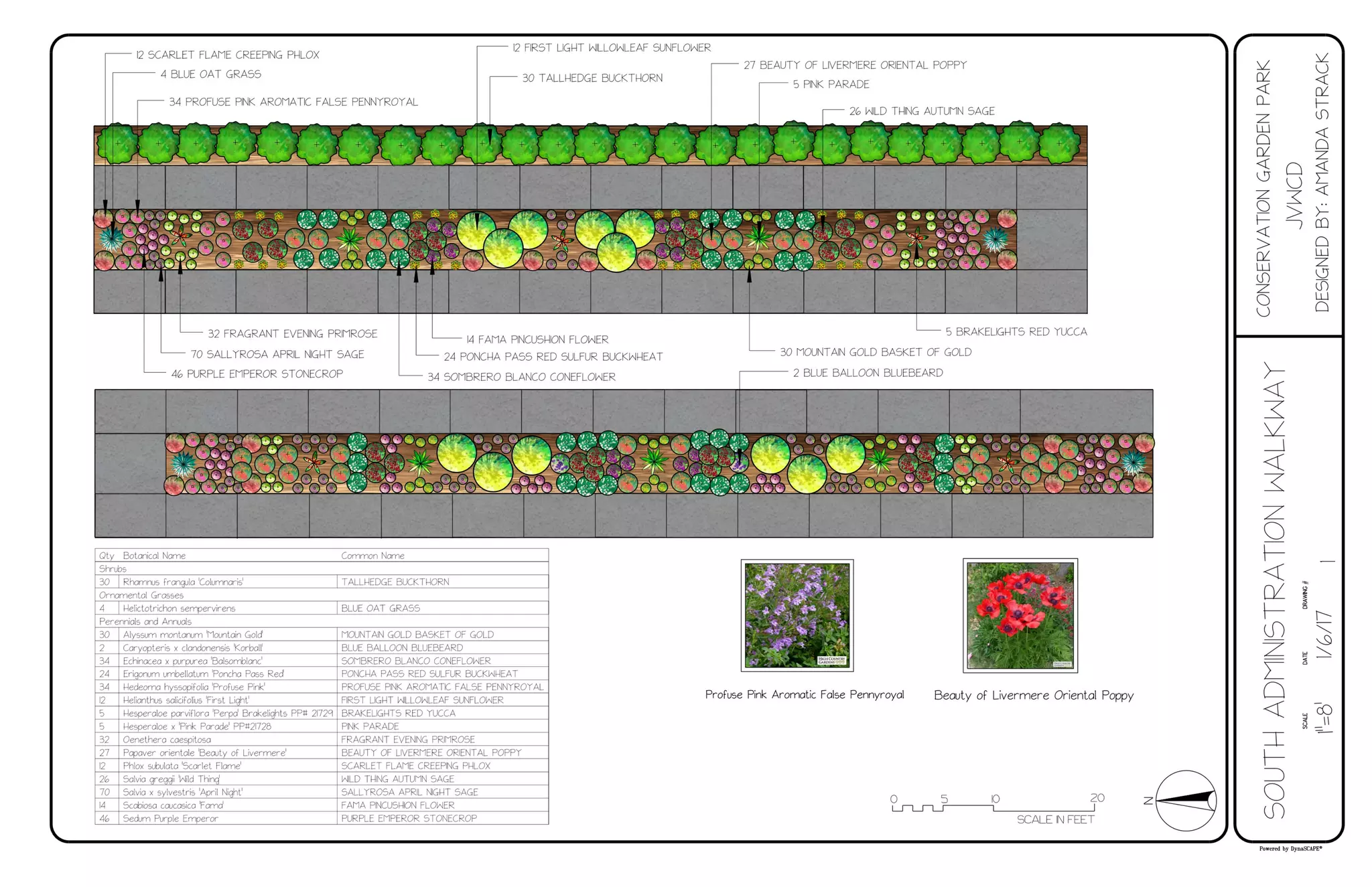 Bold Colors Park Strip Plan | PDF