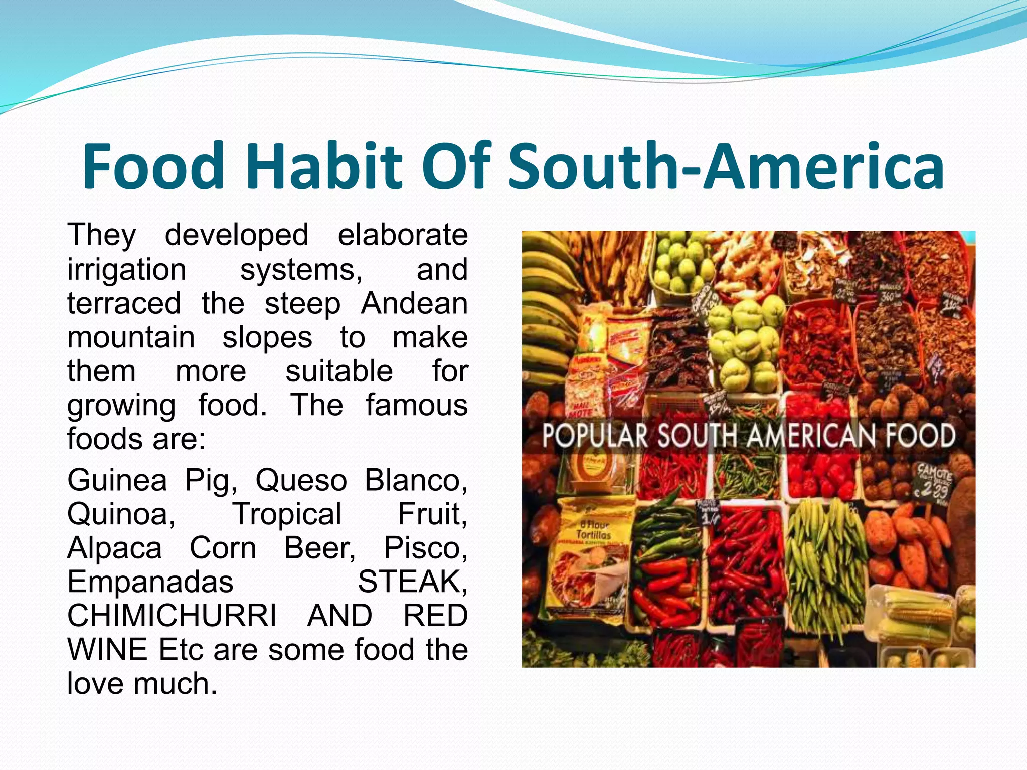 Culture and Economy of South America | PPTX