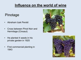 South Africa: The Birthplace of Pinotage | PPTX