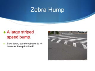 South Africanisms | PPT