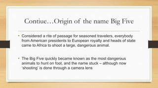 South african tourism, the big five | PPTX | Hunting and Shooting | Sports