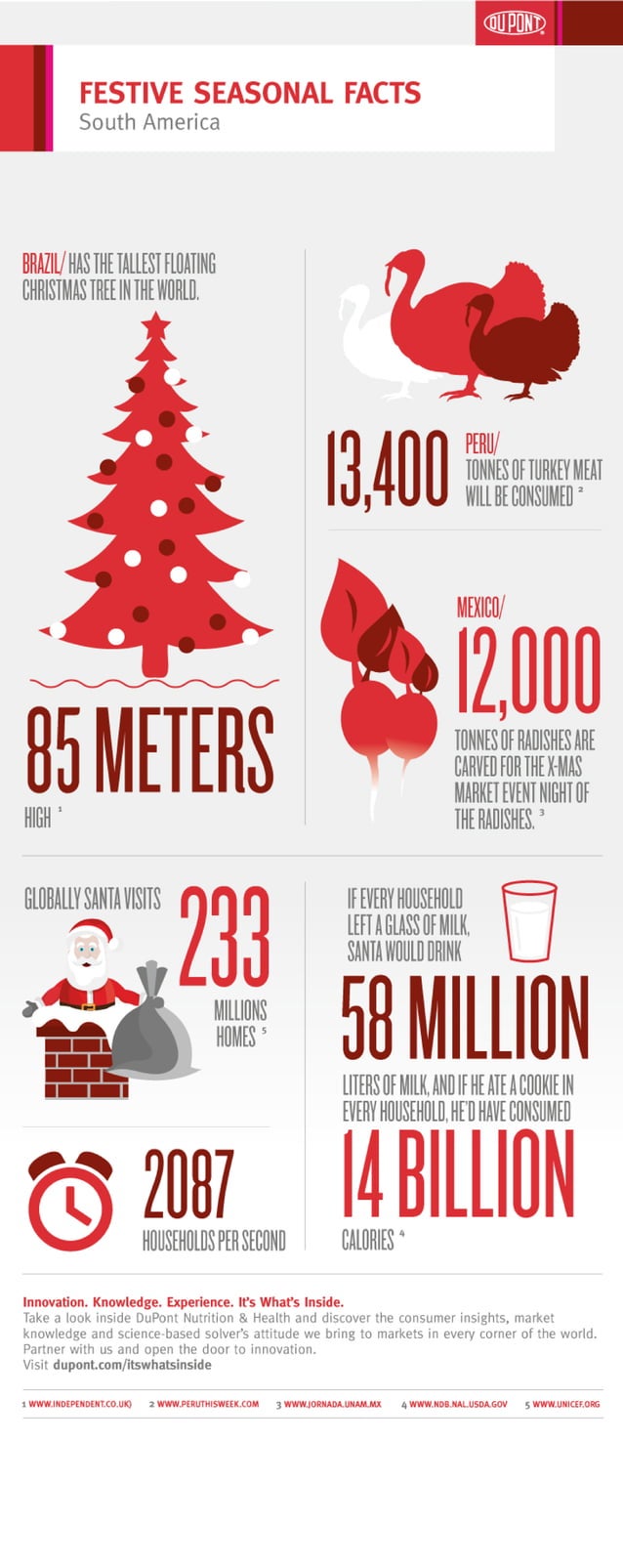 Festive Seasonal Facts - South America | PDF