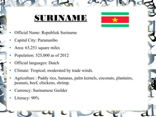 South america project | ODP