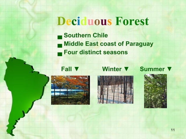 South america the continent 1 | PPT