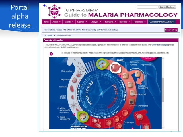 The IUPHAR/MMV Guide to Malaria Pharmacology | PPT