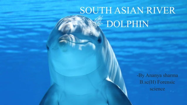 Southasian_Riverdolphin.pptx