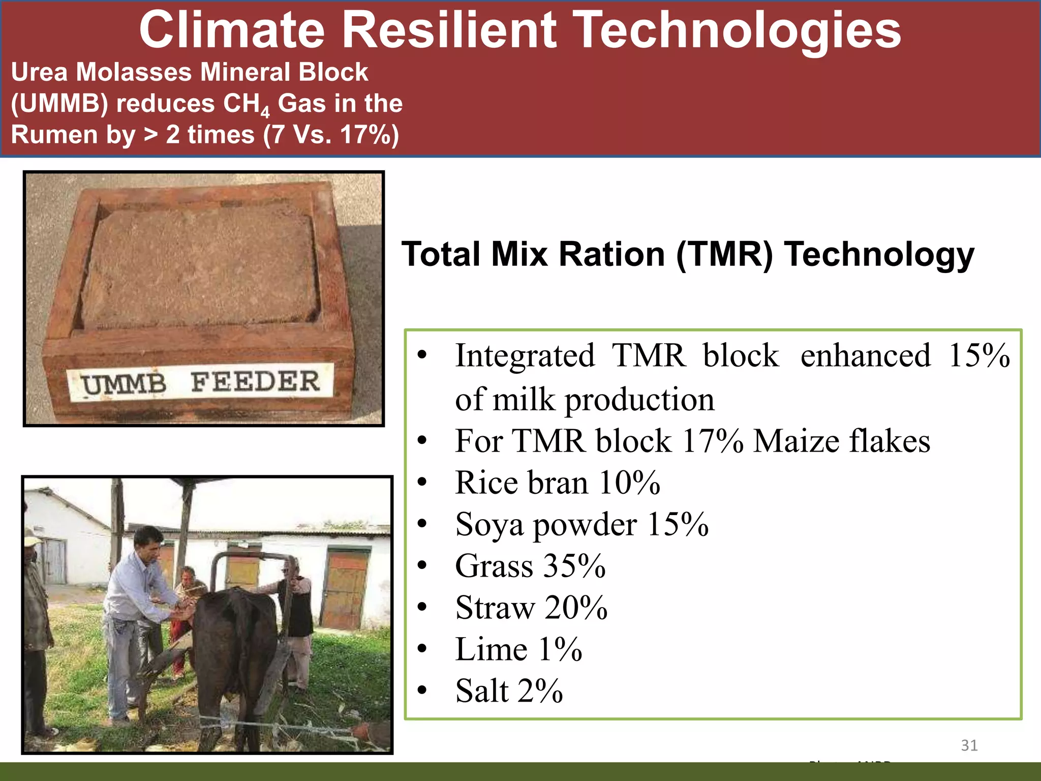 Priority areas of livestock sector for strengthening food and nutrition ...