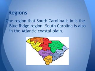 South Carolina 5 Themes Green | PPTX | Geography | Science
