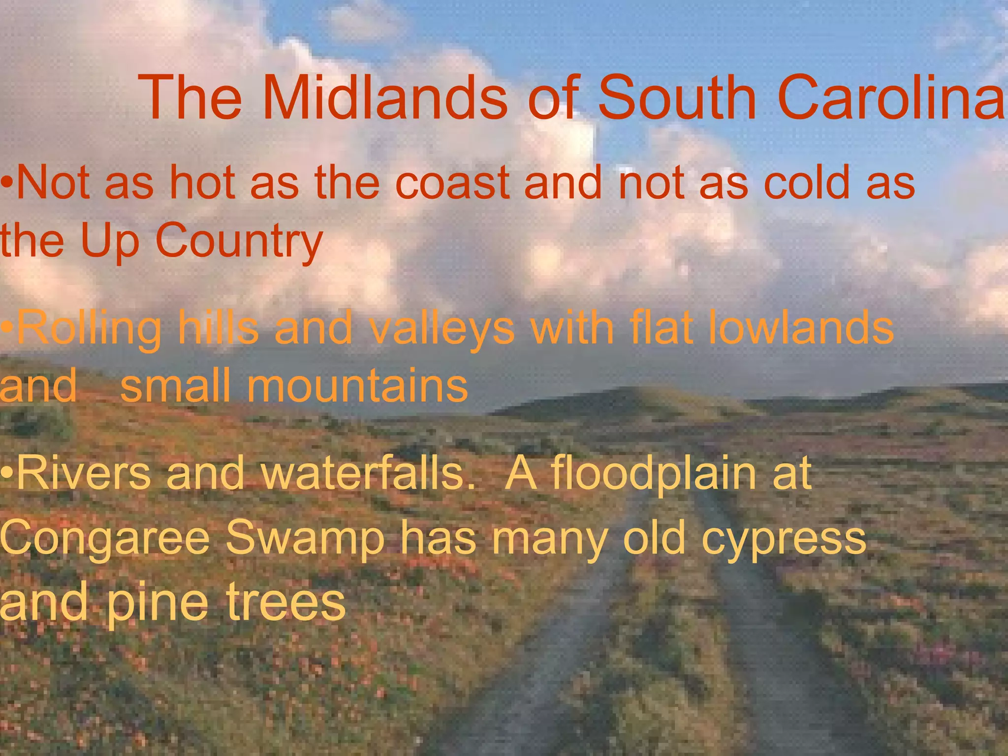 South Carolina Presentationv2 | PPT