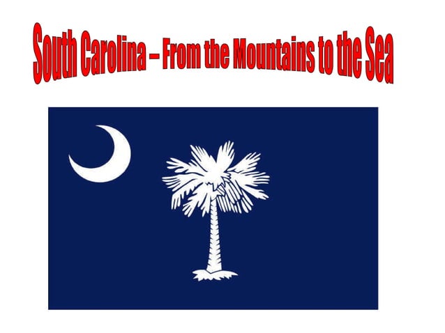 South Carolina Presentationv2 | PPT
