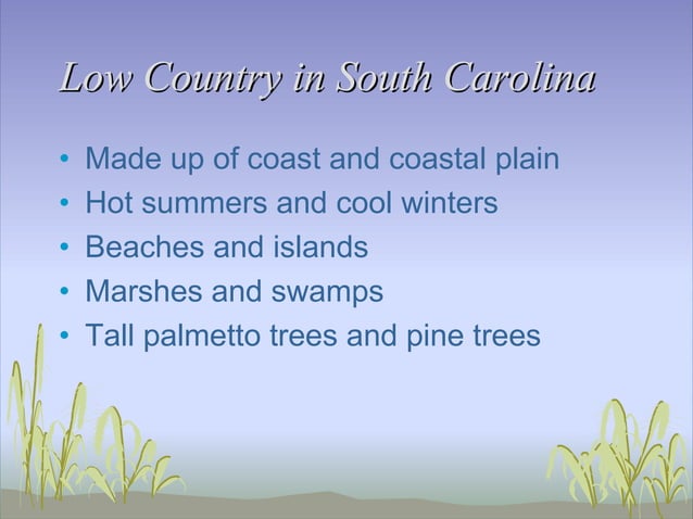 South Carolina Presentationv2 | PPT