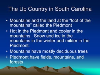 South Carolina Presentationv2 | PPT