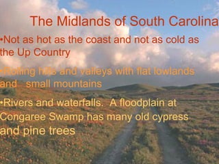 South Carolina Presentationv2 | PPT