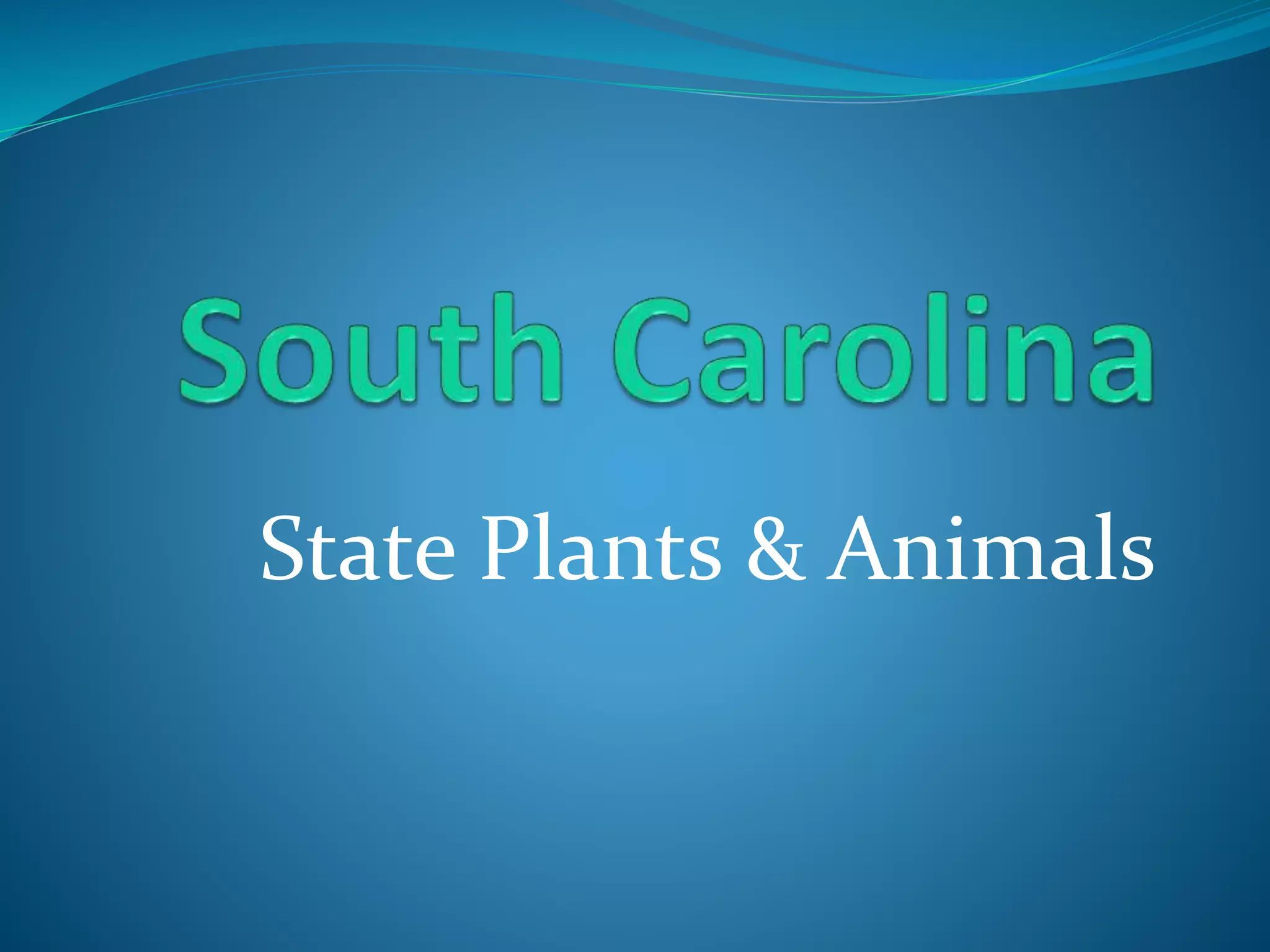 South Carolina State Symbols | PPT