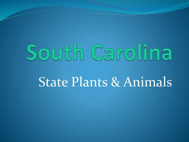South Carolina State Symbols | PPT