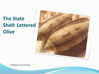 South Carolina State Symbols | PPTX | Reptiles | Pets