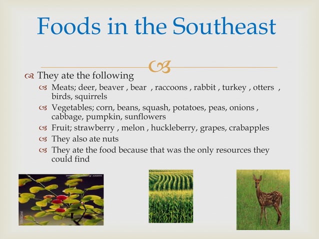 Southeast Native Americans | PPTX | Food & Drink