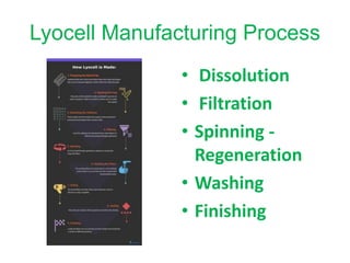 Regenerated fibre lyocell | PPTX | Women\'s Intimates and Sleepwear ...