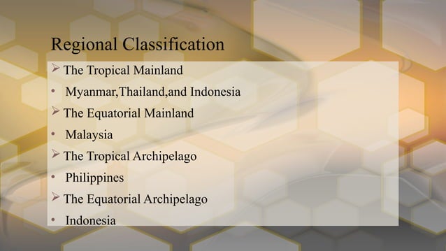 SOUTHEAST ASIA introduction and Relief.pptx