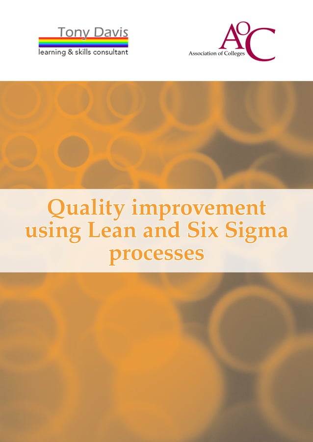 Quality Improvement Using Lean and Six Sigma Processes | PDF
