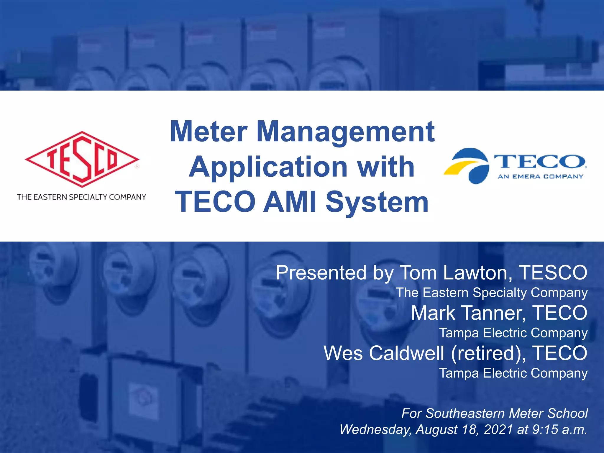 Meter Management Application with TECO AMI System | PPTX