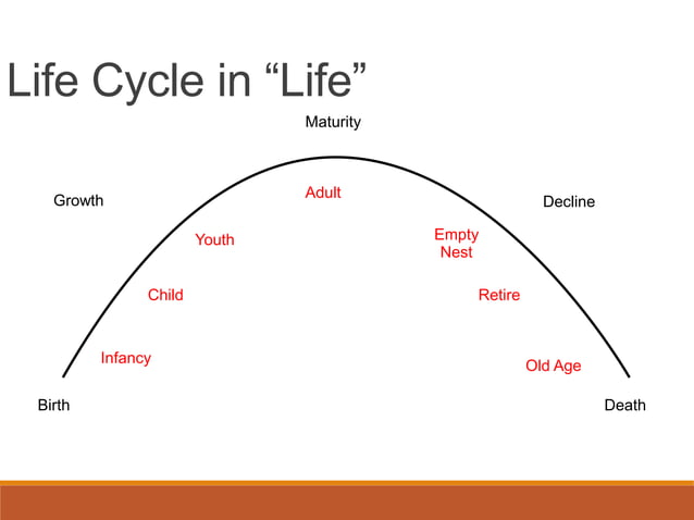 Southeastern Synod ELCA Life Cycle Presentation | PPT