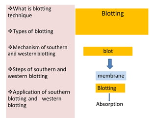Southern-blotting-and-Western-blotting.pptx