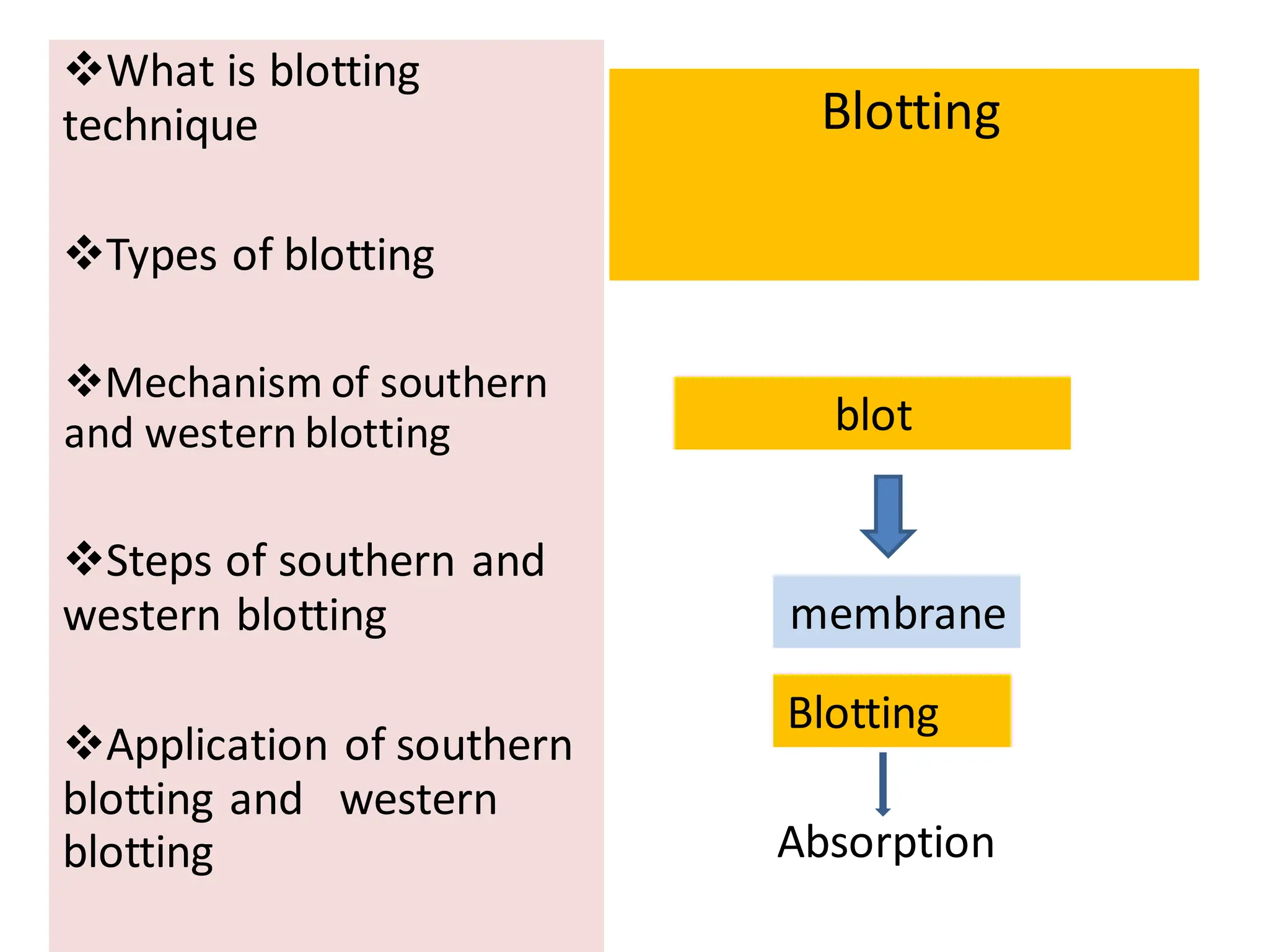 Southern-blotting-and-Western-blotting.pdf