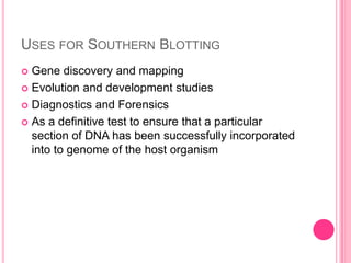 Southern blot | PPTX