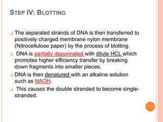 Southern blot kanchana | PPTX